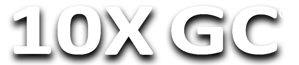 10X Group Consulting